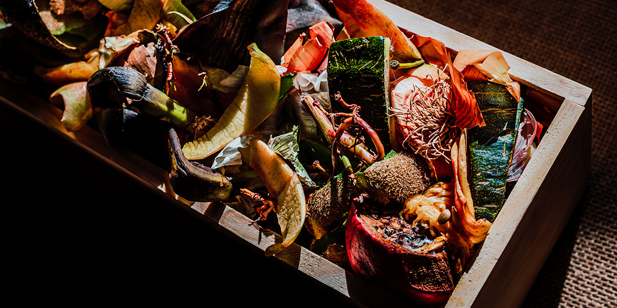 Compostable and biodegradable waste explained