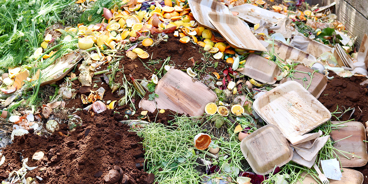Compostable and biodegradable waste explained