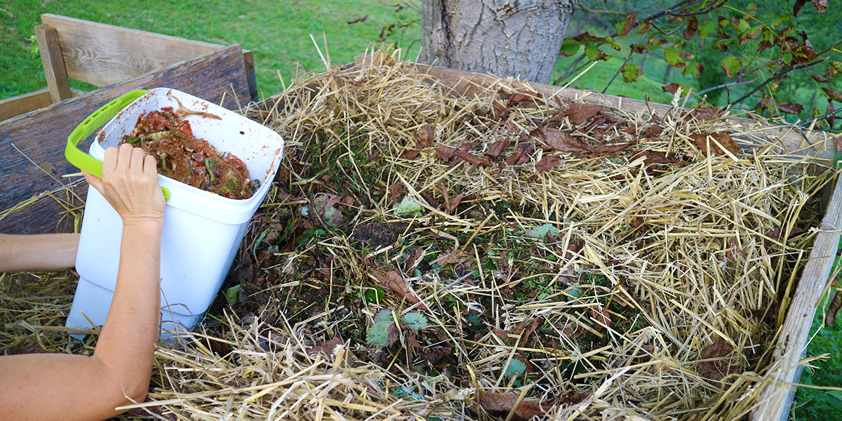 Who invented composting