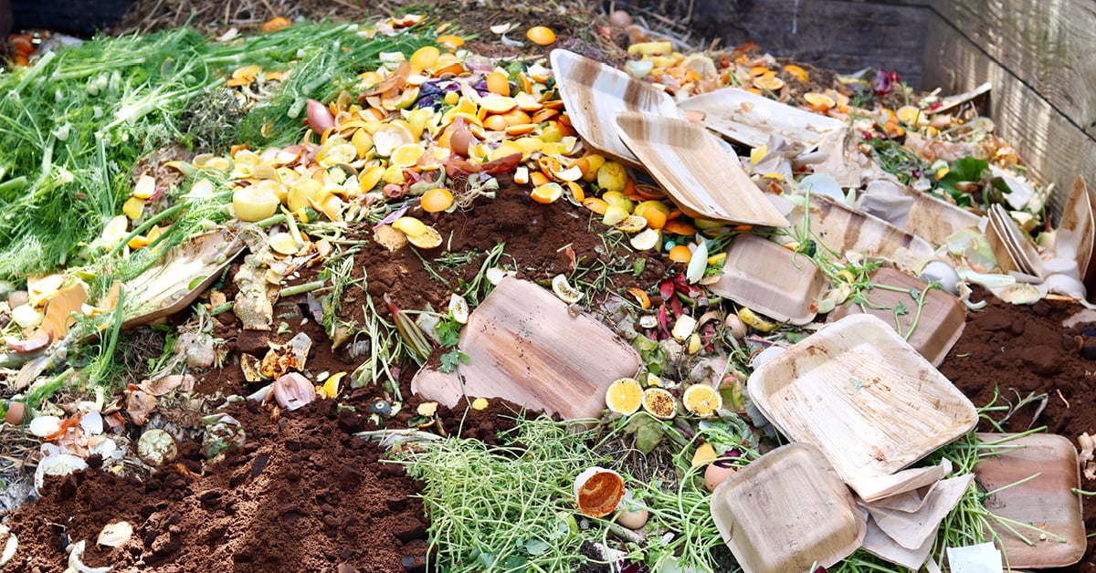 Environmental impact of food waste if not treated correctly