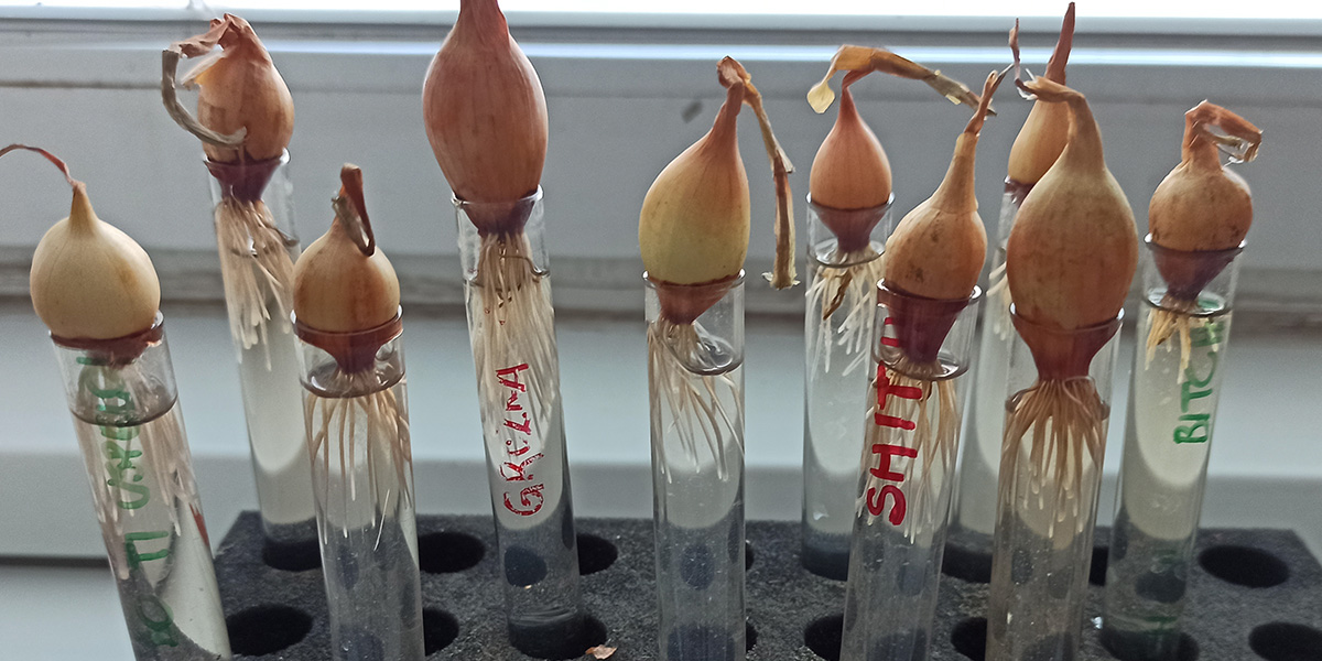 Should you talk to your plants?