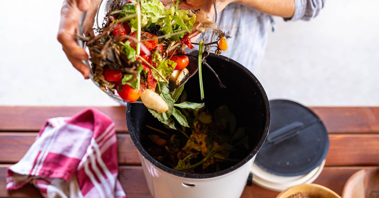 Organic waste management at home 101: Everything you need to know