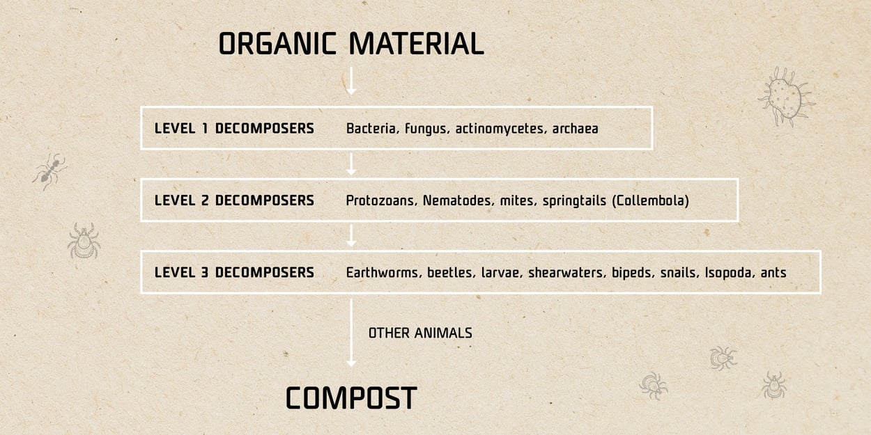 Three main levels of composting organisms