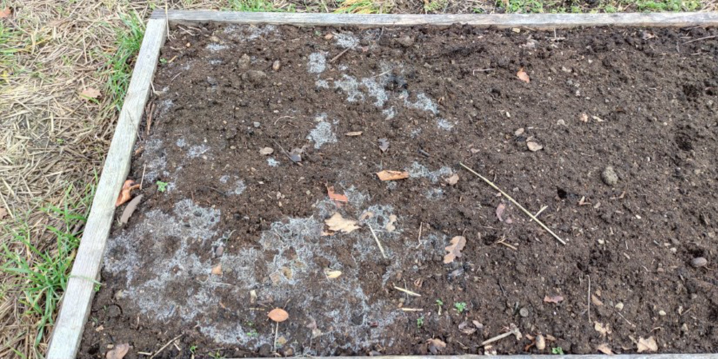 Is white mold in compost during the fermentation process good or bad?