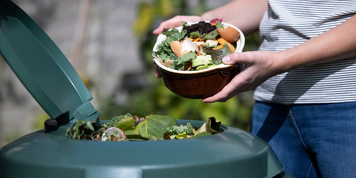 Compostable and biodegradable waste explained
