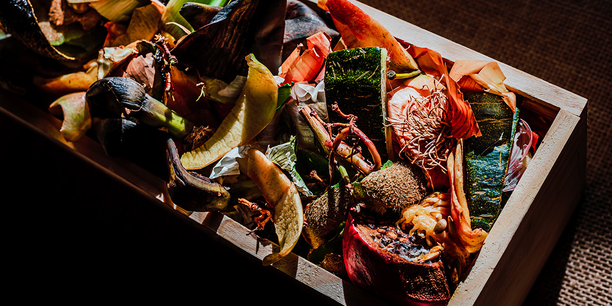 Examples of organic waste in your household