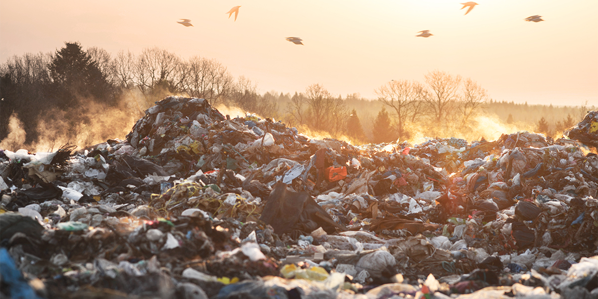 How towns and cities can slash food waste in landfill by 30%