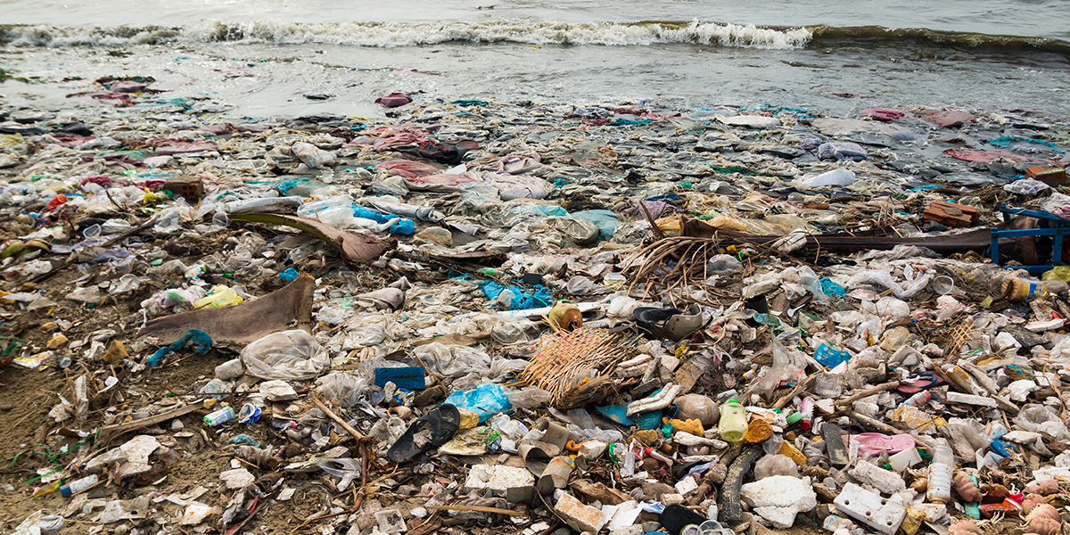 Human impact on the environment