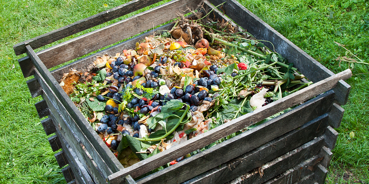 The benefits of effective microorganisms in agriculture