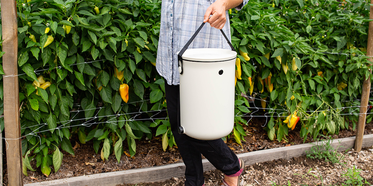 Composting vs fermentation: let's start the discussion